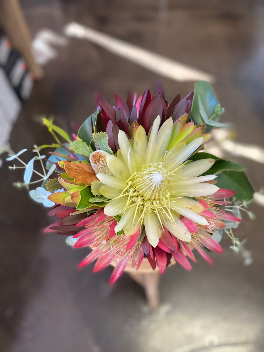 Tasmanian Native Posies Medium – ISLANDER art home fashion